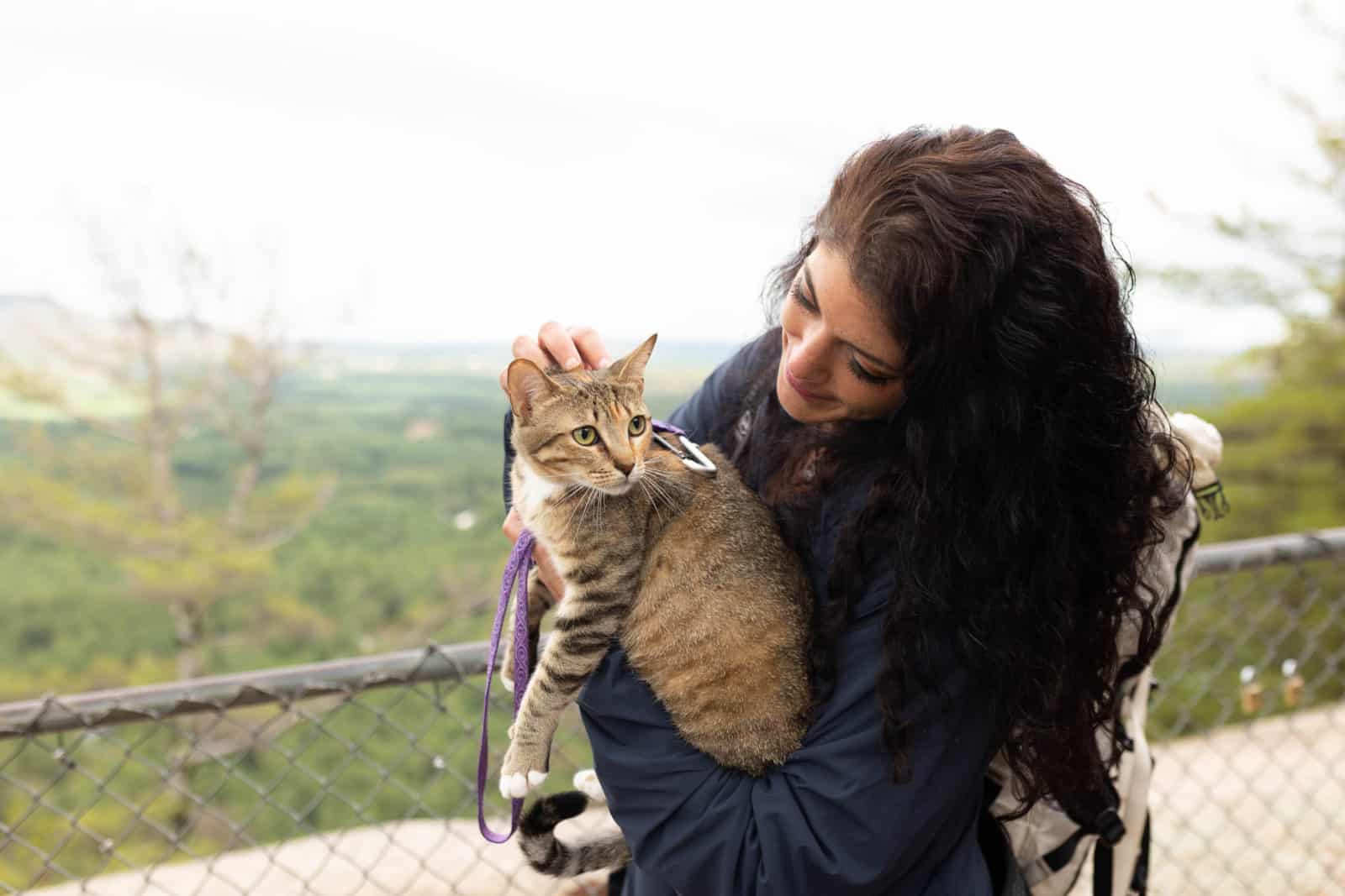 Floki the Adventure Cat | A Hiking Duo on a Mission to Inspire Others ...